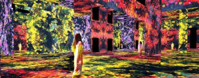 Işıkların Büyüleyici Dünyası; teamLab Borderless – 2 – Japonya'da Hayat